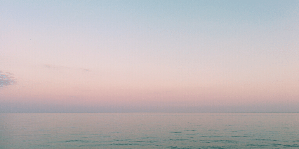 The Ultimate Guide To Slow Beauty – Evolve Organic Beauty
