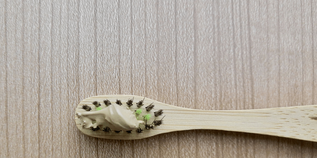 How To Make Your Own Toothpaste: A Simple Homemade Toothpaste Recipe ...